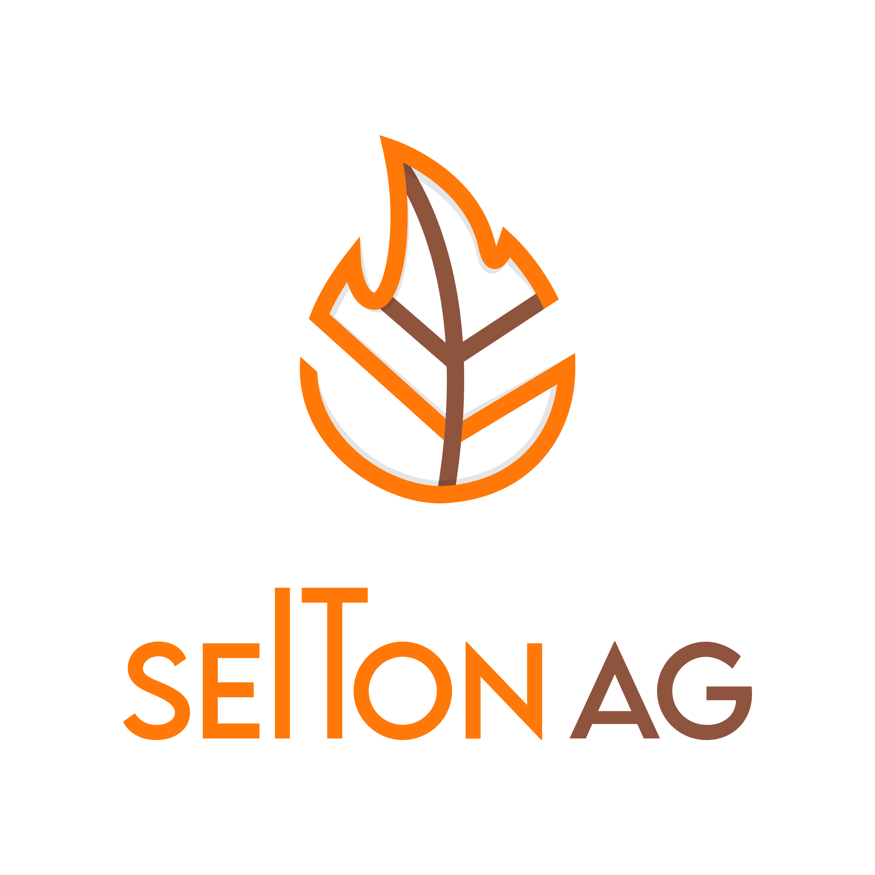 Seiton AG